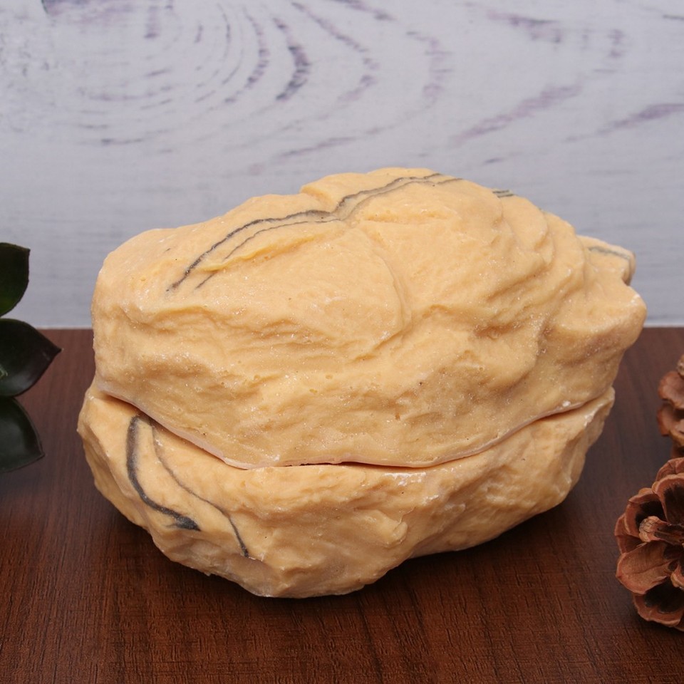 Bearded Dragon Tank Accessories Reptile Animal Shelter Hide Cave ...