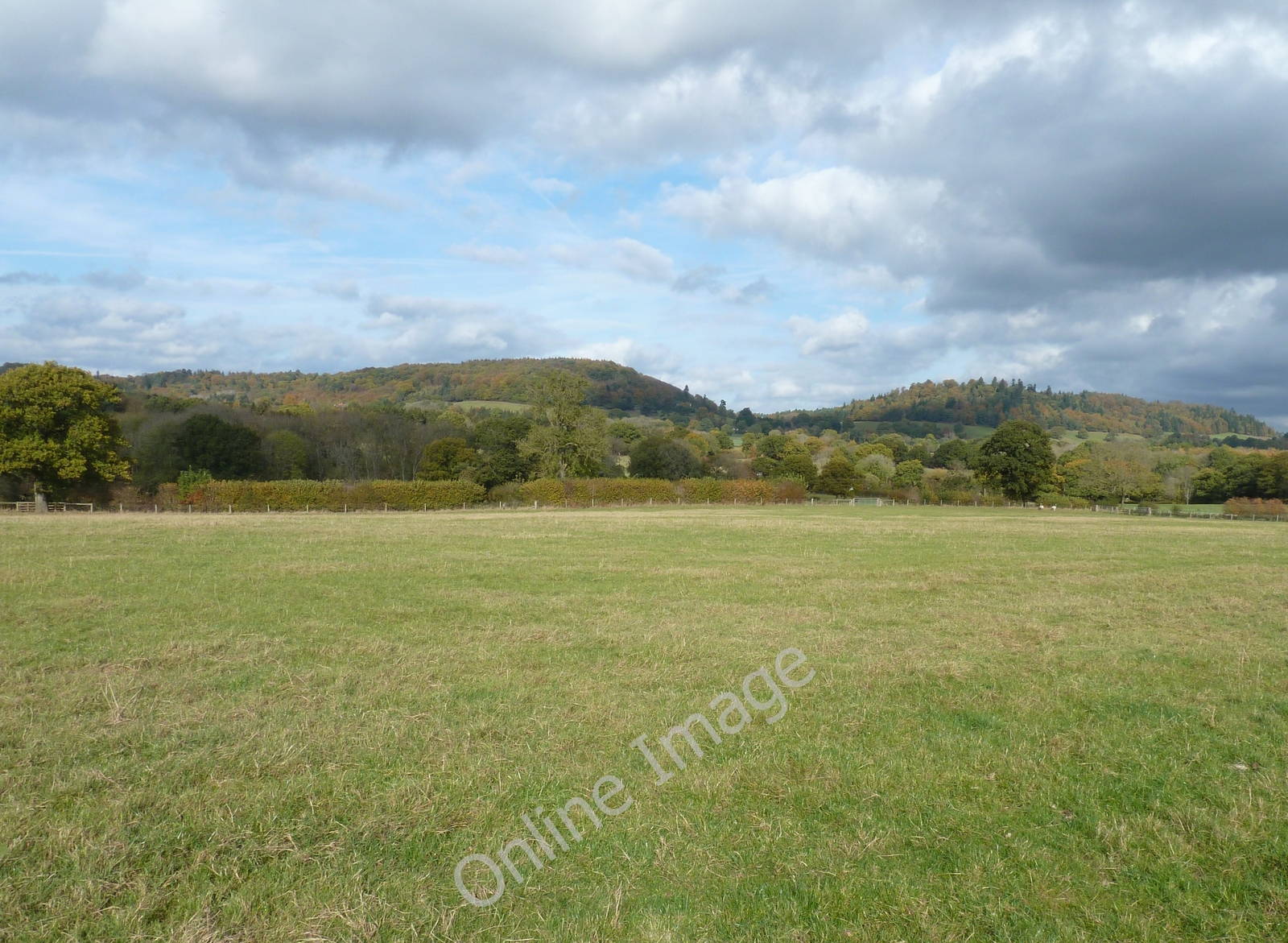 Photo 6x4 Sheep pasture at Field Place Dunsfold Green Hascombe Hill is ...