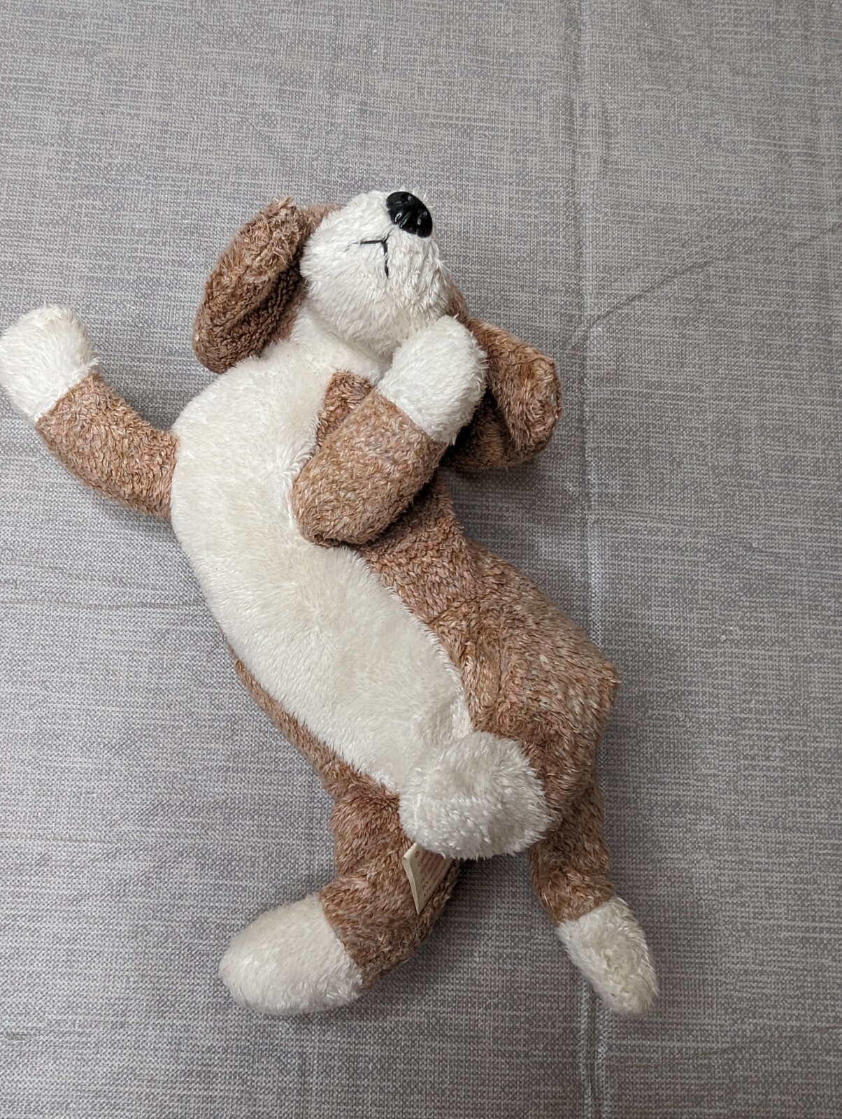 2000 Ty Beanie Baby Sniffer Brown White Paws Dog Floppy Ears Plush Toy ...