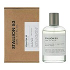 Stallion 53 Unisex EDP Perfume Cologne for Men & Women 100 ML + 20 ML ...