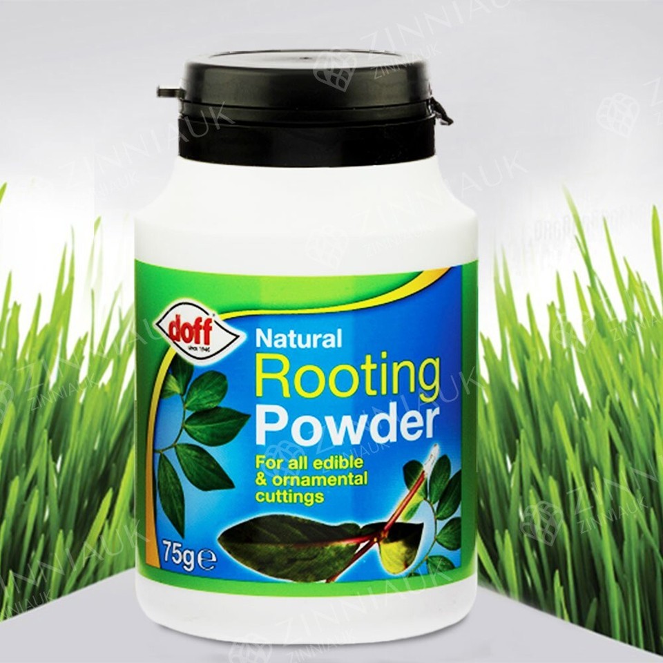 DOFF Natural Rooting Powder 75g for Edible & Ornament Cutting and Plant ...
