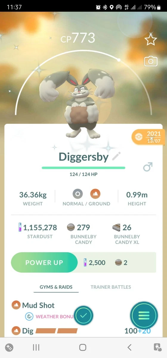 Shiny Diggersby
