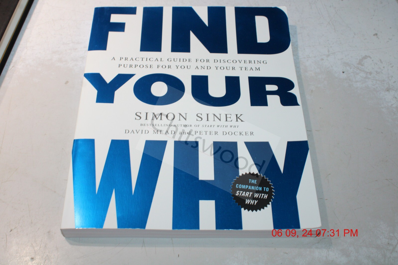 Find Your Why : A Practical Guide for Discovering Purpose for You and ...