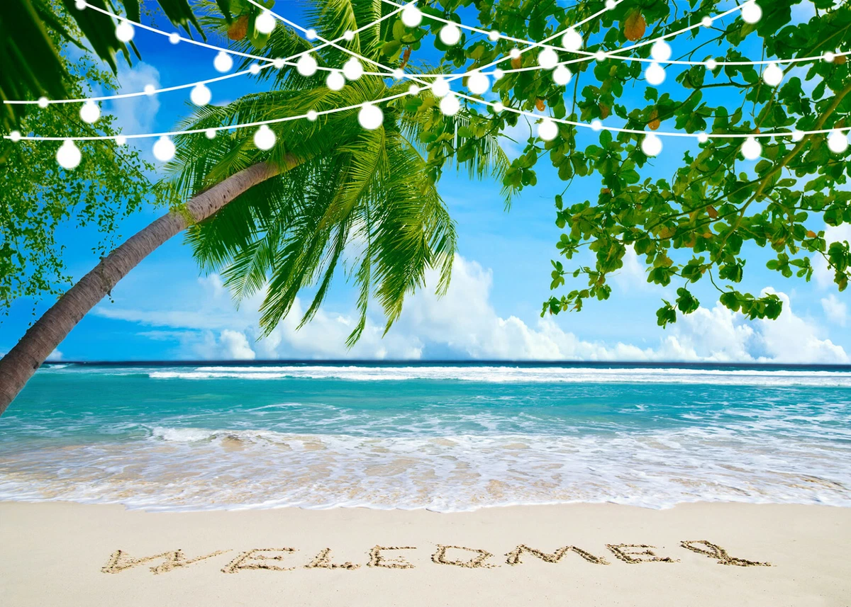 Summer Beach Scenery Wallpaper