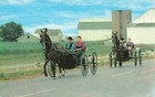 Postcard Amish Courting Buggies Pennsylvania | eBay