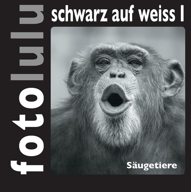 Fotolulu Schwarz auf Weiss I (Gebundene Ausgabe) online kaufen | eBay.de