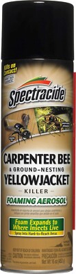 Spectracide Carpenter Bee & Nesting Yellowjacket Killer Spray 16Oz Each ...