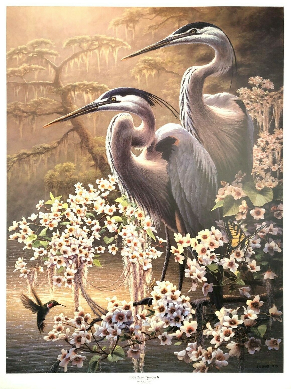 "Southern Spring II" Great Blue Herons by RC Davis (S and N) 24 1/2 X ...