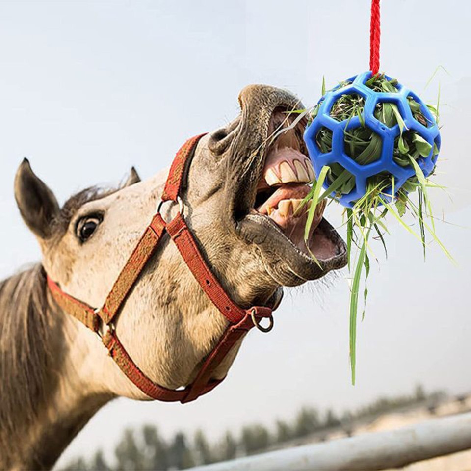 Horse Treat Ball Feeder Toy Hay Ball Hanging Feeding Toy for Horse ...