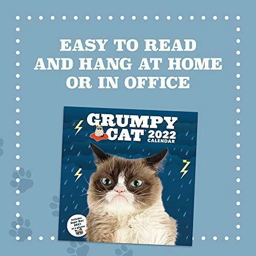 Grumpy Cat Office
