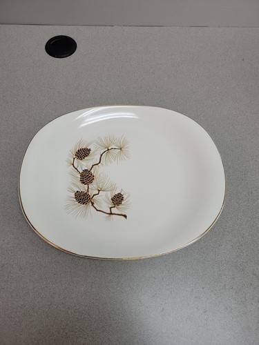 PADEN CITY POTTERY-EDEN ROC CHINA PINE CONE" 1957 PATTERN SERVING ...
