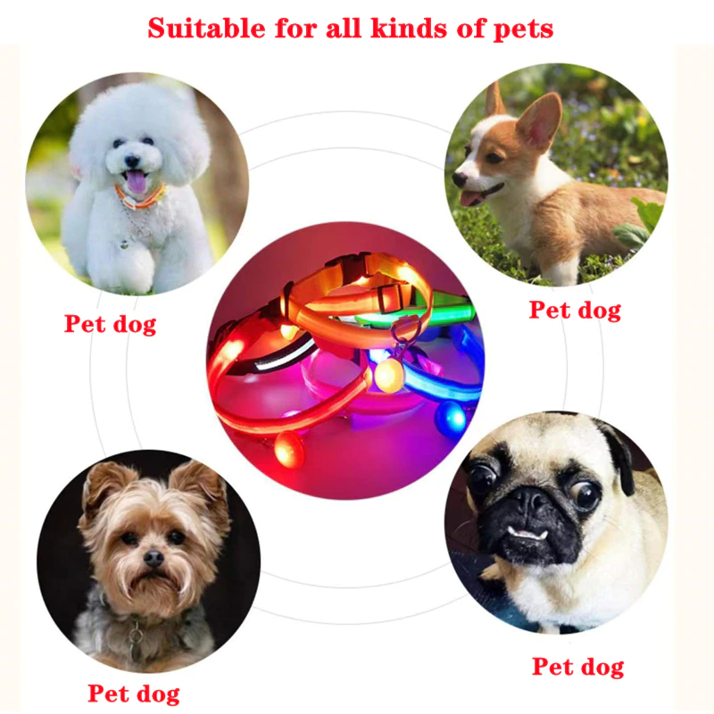 LED Adjustable Dog Collar Blinking Flashing Light Up Glow Pets Safety ...