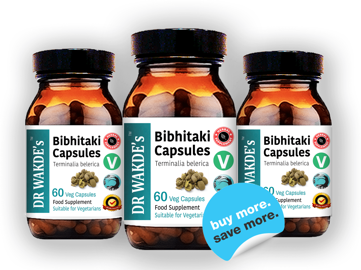 DR WAKDE'S Bibhitaki Capsules (Beheda | Terminalia belerica) | 60 Veg ...