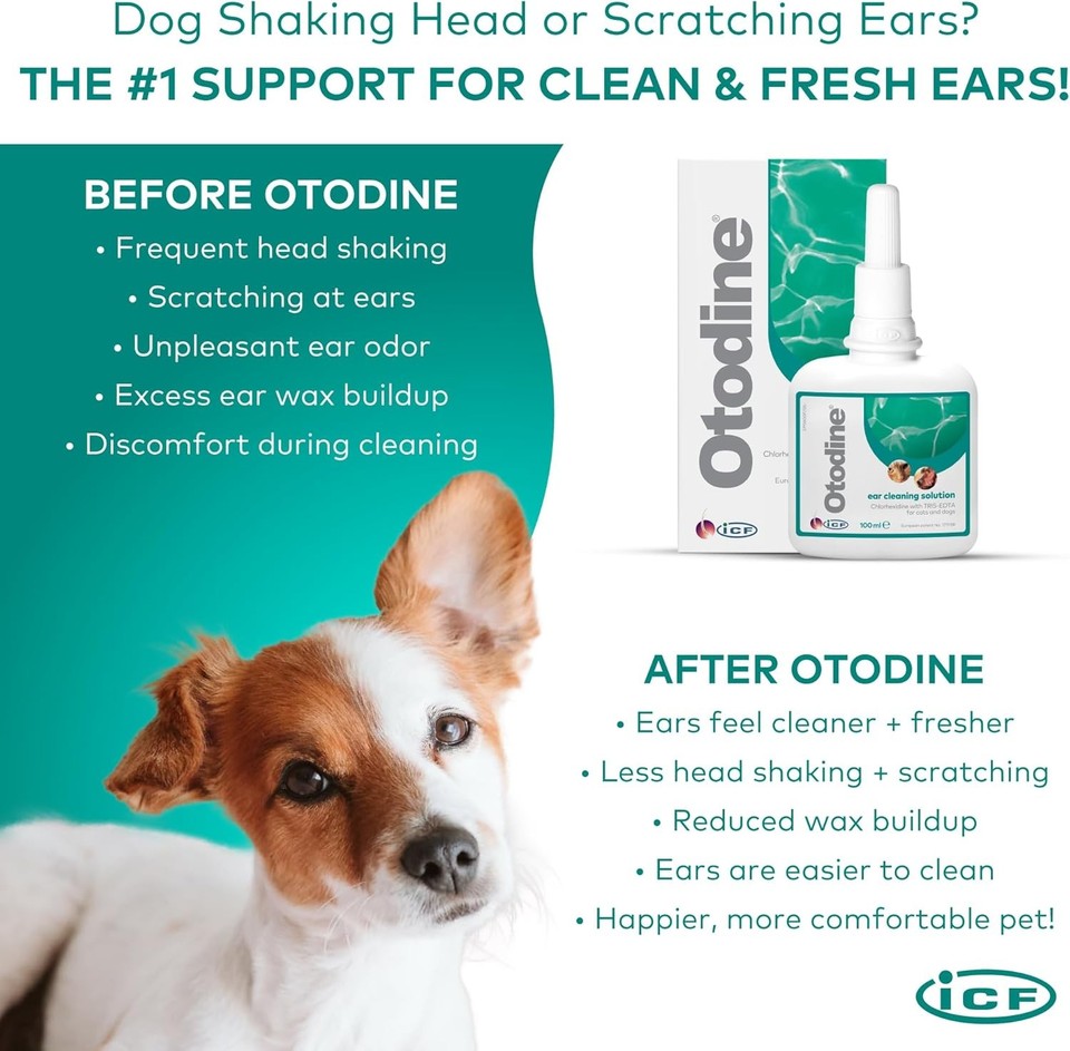 ICF Otodine | Cat & Dog Ear Cleaner Solution | Dog Ear Drops to Stop ...