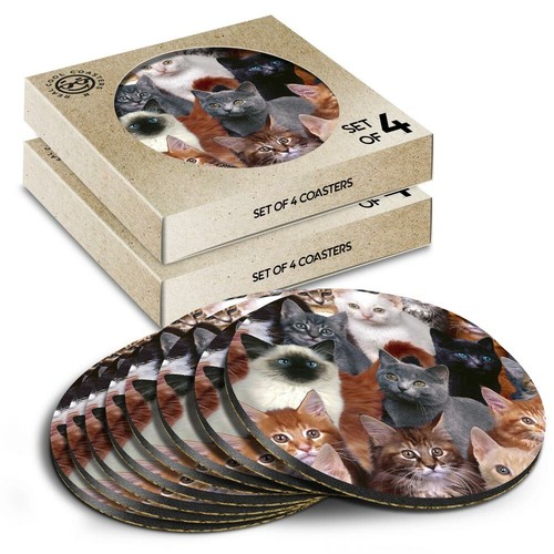 8 x Boxed Round Coasters - Cute Cat Collage Kitten Cats #8952 | eBay UK