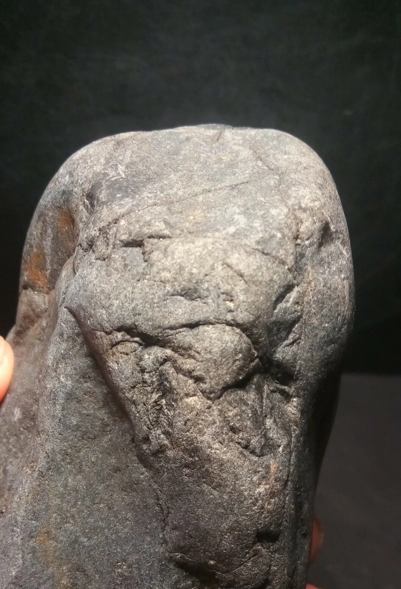 Prehistoric Art Sculptures