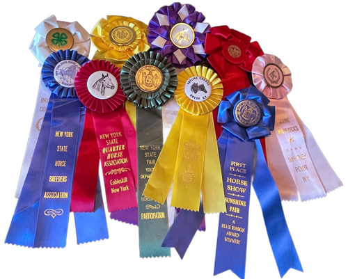 1990s-2000s Lot 10 horse show ribbons rosettes crafts New York State ...