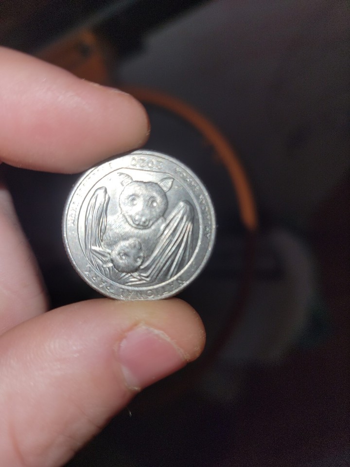 2020 P American Samoa Bat Eye Die Gouge Error Coin | eBay