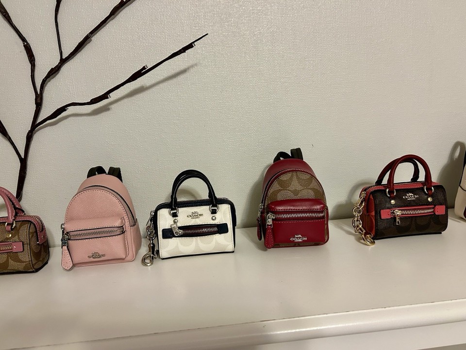 Coach Mini Bag Charm Keychains Multicolor with Zipper Buckle Chain ...