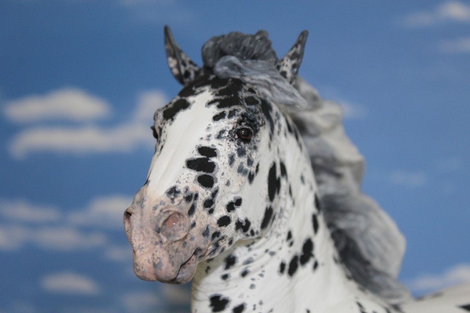 NAN'd Artist Resin Lynn Fraley "ANNIE" Norikker draft appaloosa CM'd base & tail | eBay