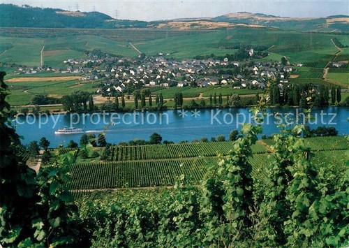 73084953 Riol Riol | eBay