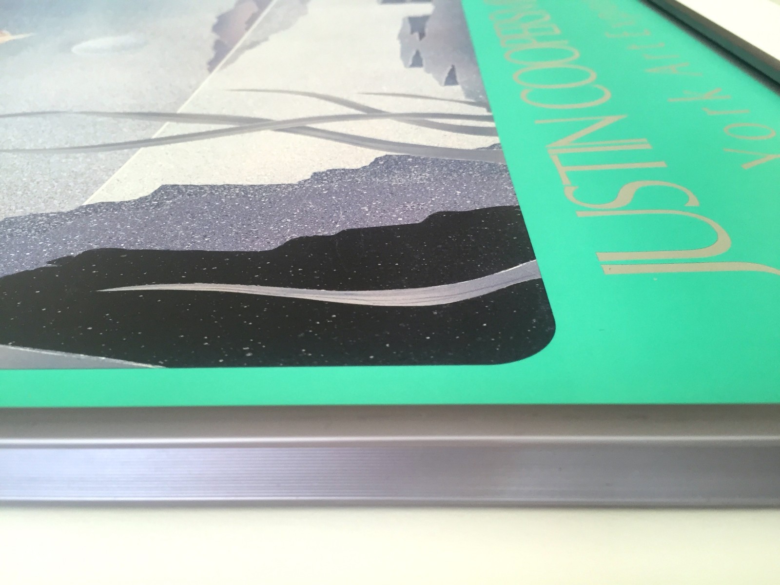 JUSTIN COOPERSMITH VTG 1980'S POST MODERN ORCHIDS FRAMED LITHOGRAPH ...