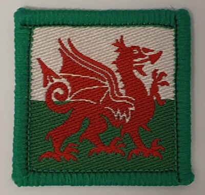 Welsh Flag Dragon Woven Badge Patch Right Facing 39mm x 39mm | eBay