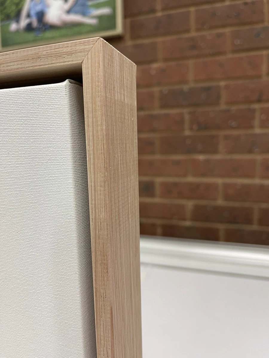 Canvas Ready Frames