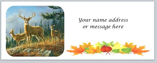 Personalized Address Labels White Tail Deer (P 71) | eBay