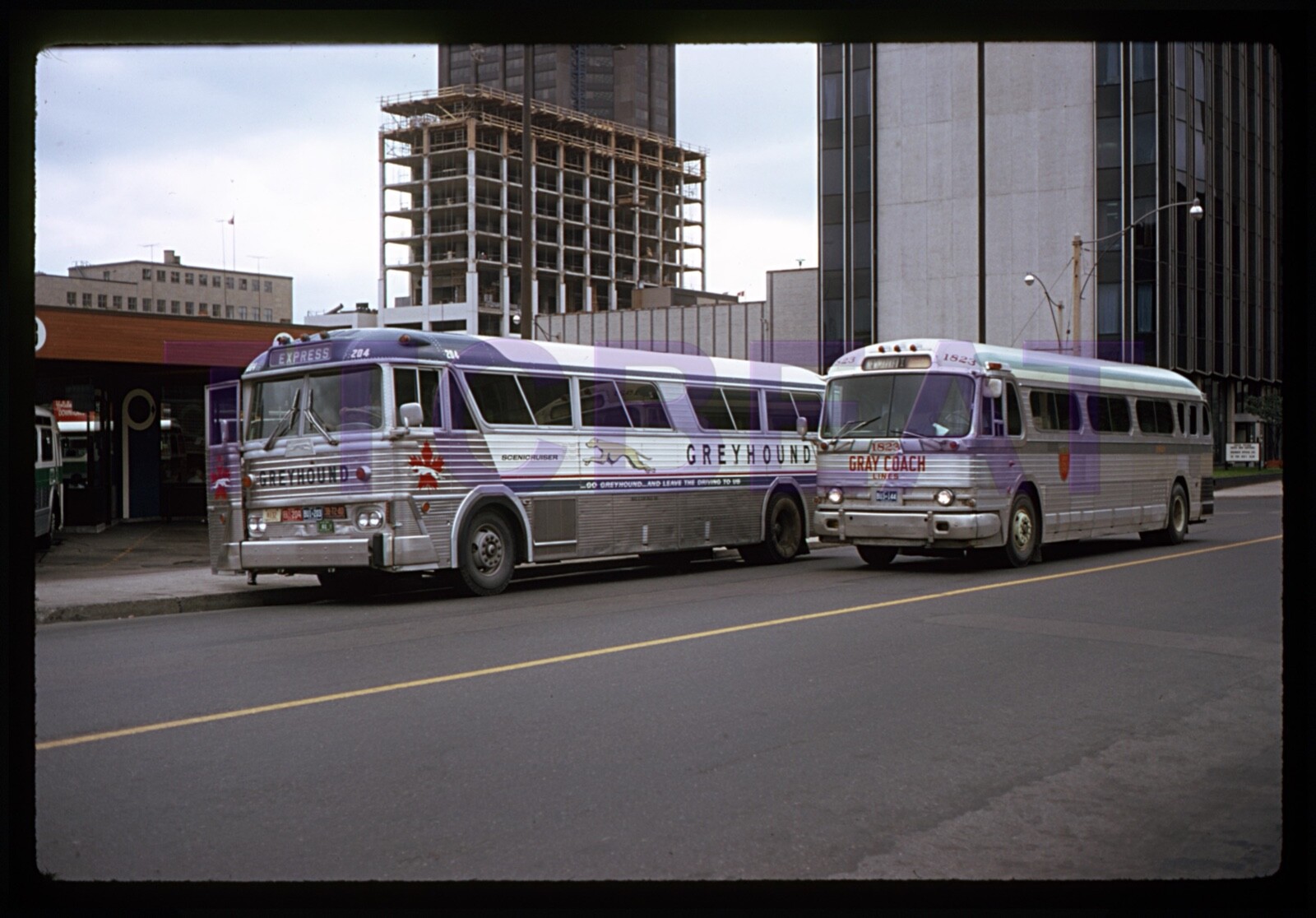 GRAY COACH BUS SLIDE: GM PD-4104 PASSING MCI GREYHOUND IN TORONTO (1974 ...