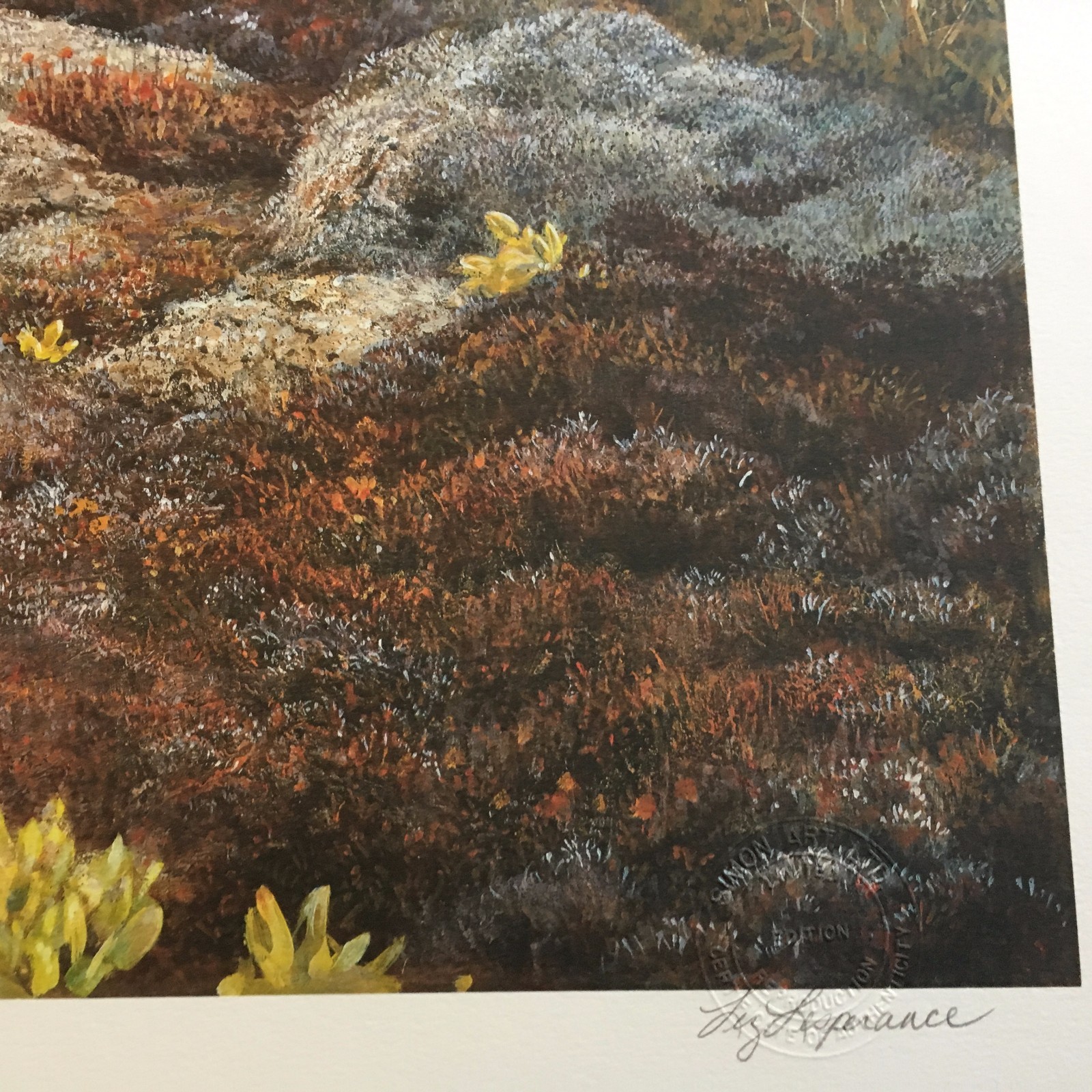 "THOSE EYES" LIMITED EDITION PRINT BY LIZ LESPERANCE | eBay