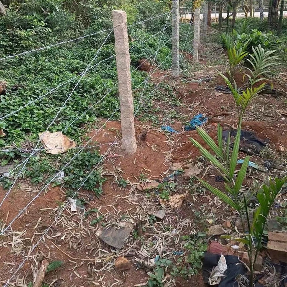 Barbed Wire Outdoor Garden Security Fence Fencing Anti-Cat Fox Bird ...