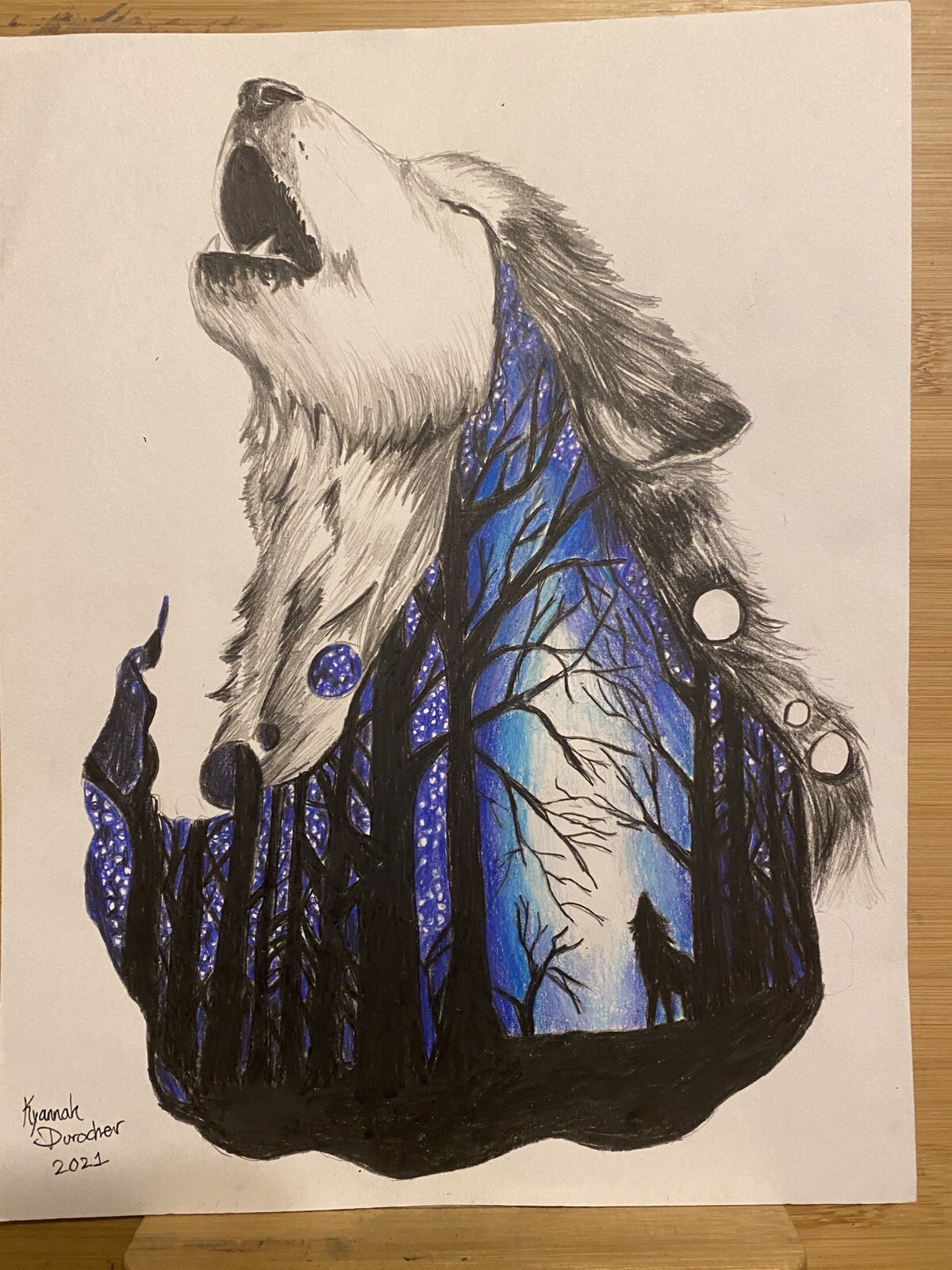 Howling Wolf Drawing In Pencil