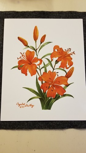 CRYSTAL SKELLEY DAY LILY Art Print Lithograph Vintage | eBay