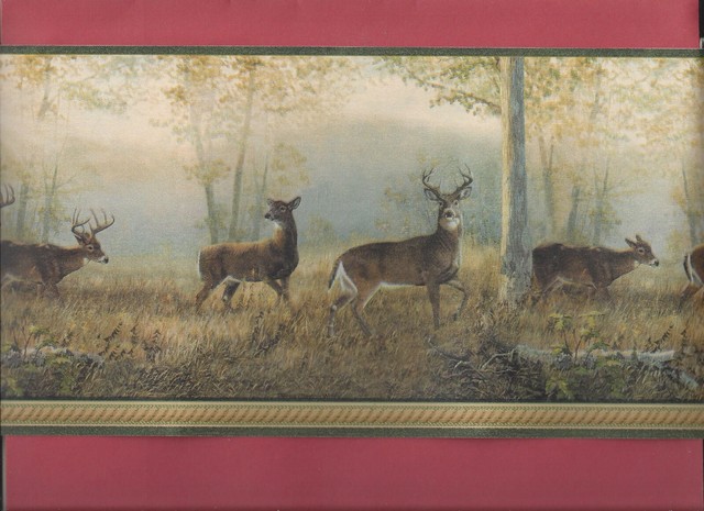 Home Trends Wallpaper Wall Border Deer in Woods 5 Yards. for sale ...