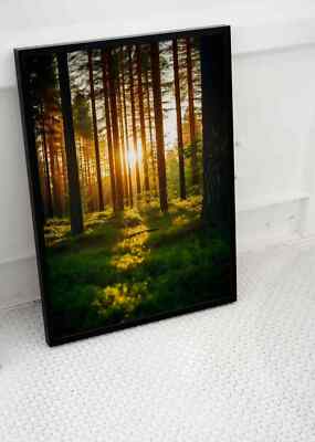 ICONIC BEAUTIFUL FOREST SUN THRU TREES POSTER NATURE ART PRINT SIZE A3 ...