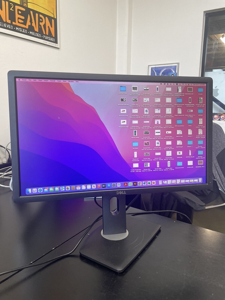 Dell P2412H 24" LCD LED Monitor 1920x1080 - DVI, VGA ports w/cables | eBay