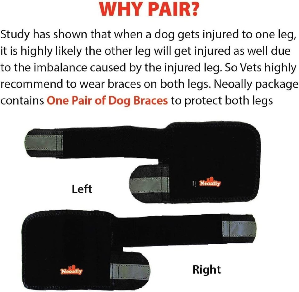 of NeoAlly Dog Cat Front Leg Braces Carpal Support with Safety ...