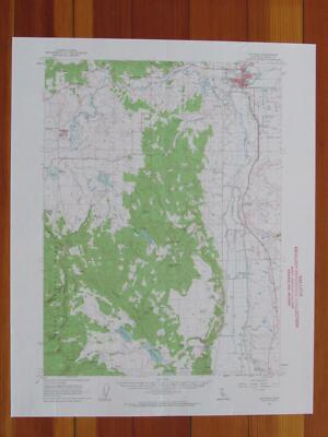 Alturas California 1963 Original Vintage USGS Topo Map | eBay