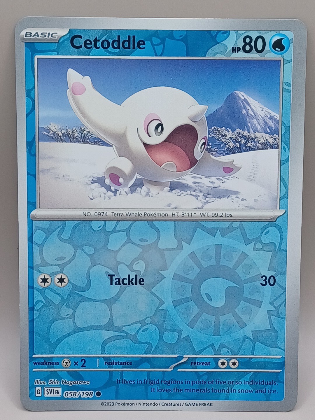 058/198 Cetoddle Reverse Holo Common Scarlet and Violet Pokemon TCG | eBay