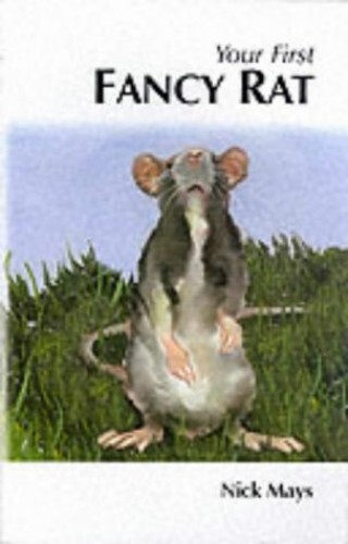 Your First Fancy Rat, Nick Mays | eBay Australia
