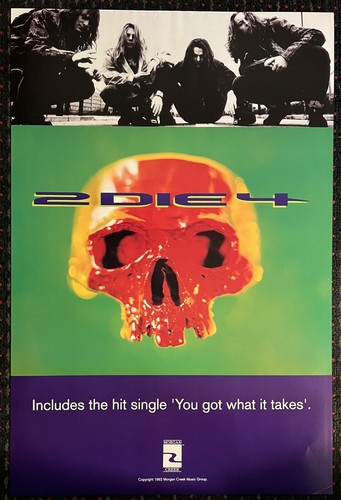 2 DIE 4 record store 24x36 promo poster aor HAIR band glam 80s Heavy ...