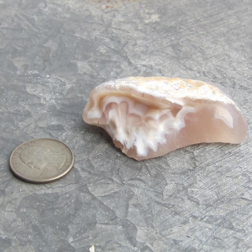 Natural Gobi rough agate/Jasper stone for Bonsai Suiseki gm960 | eBay