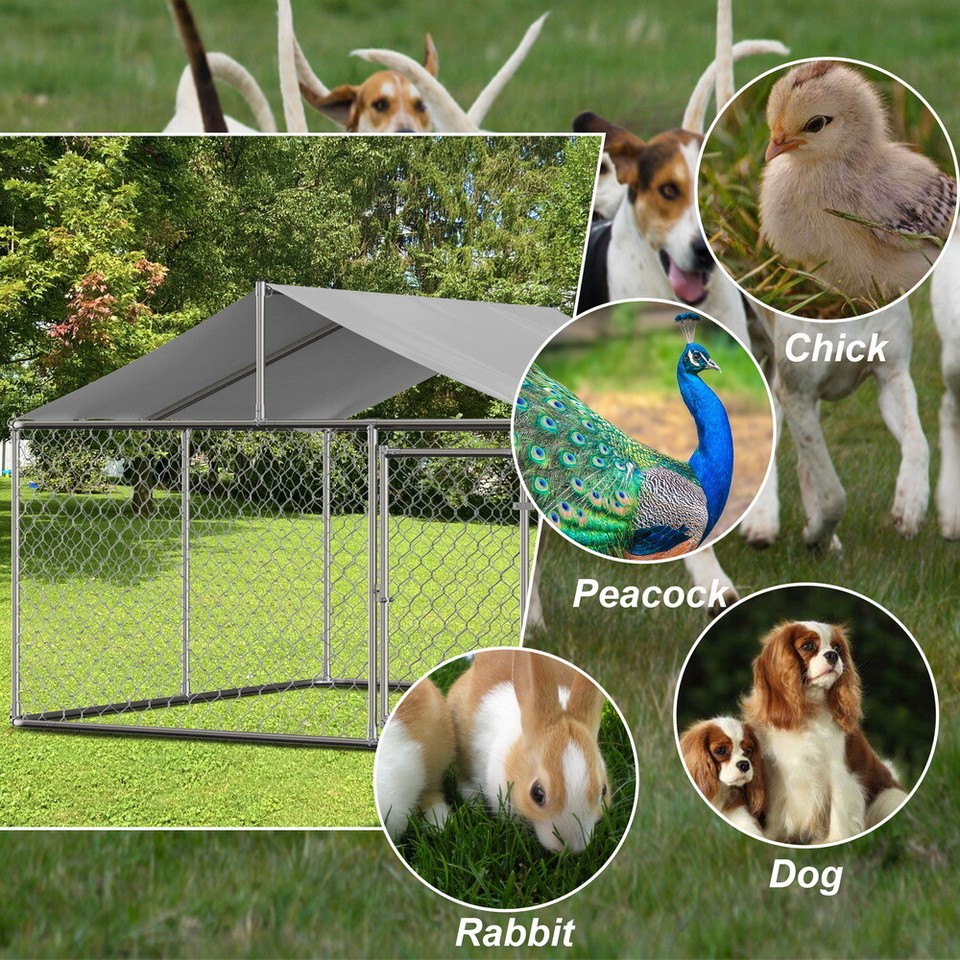 15x15 Ft Spire Roof Metal Walk-in Chicken Coop Outdoor Pet Run Cage Dog ...