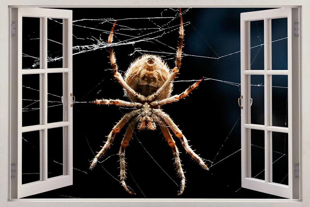 Spider 3D Window Decal Wall Sticker Home Decor Art Mural J379 | eBay