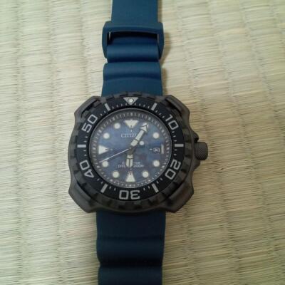 Citizen Promaster Eco-Drive Divers 200M Blueblack Gray Quartz Mens ...