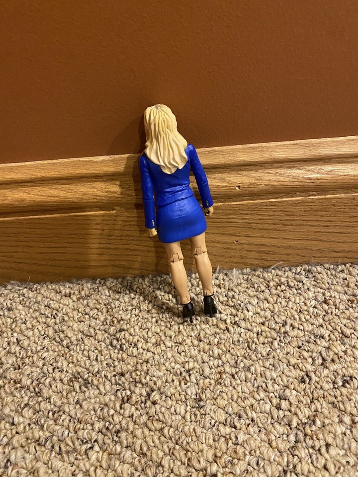 Wwe Elite Figure Custom Ms Debra Mcmichael Owen Jeff Jarrett Puppies ...