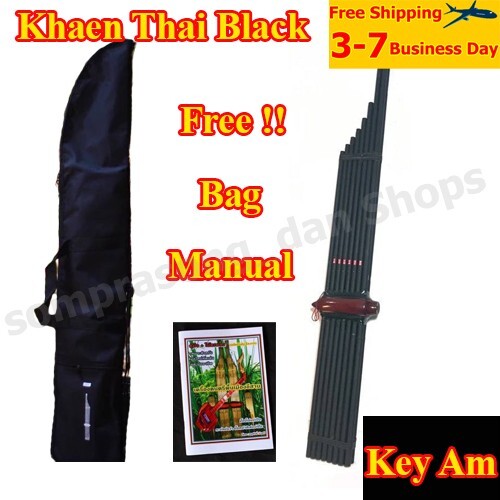 Thai Khaen Black Am Key Bamboo Instrument Isan Mouth Organ w/ Bag | eBay