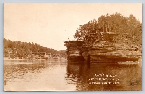 Wisconsin Dells WI~Hawk's Bill~Lower Dells Of Wisconsin River~Real ...