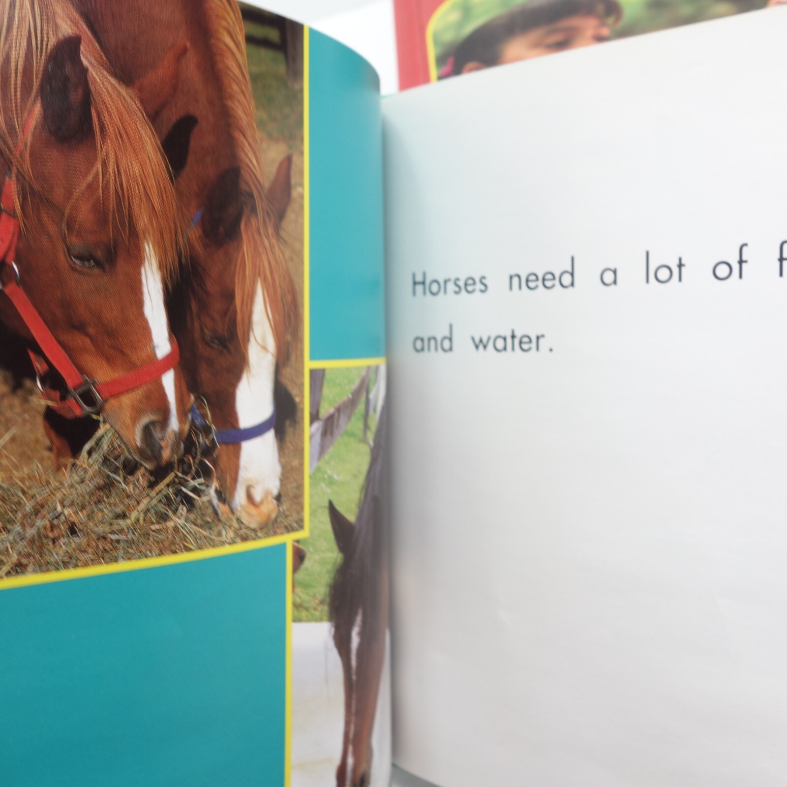 Pebble Book lot of 12 Pre K-2 Early Learning Homeschool Easy Readers ...